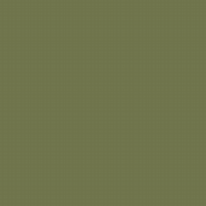 Blank Map - Fallout 76 Mod download