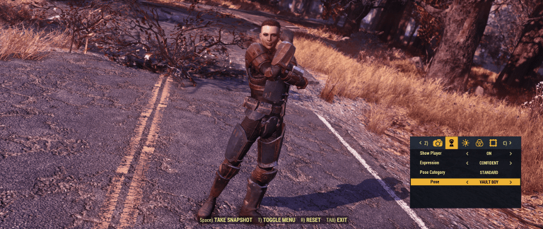 Photomode Poses Replacer - Fallout 76 Mod download