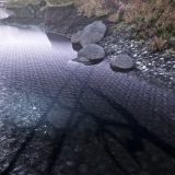 Enlightenment and water flow texture bug fix - Fallout 76 Mod download