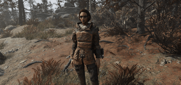 Models and Textures Fallout 76 Mods | Models and Textures Fallout 76 ...