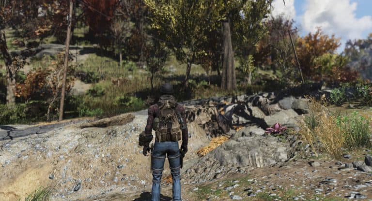 Safari Bag-No Crocolossus - Fallout 76 Mod download