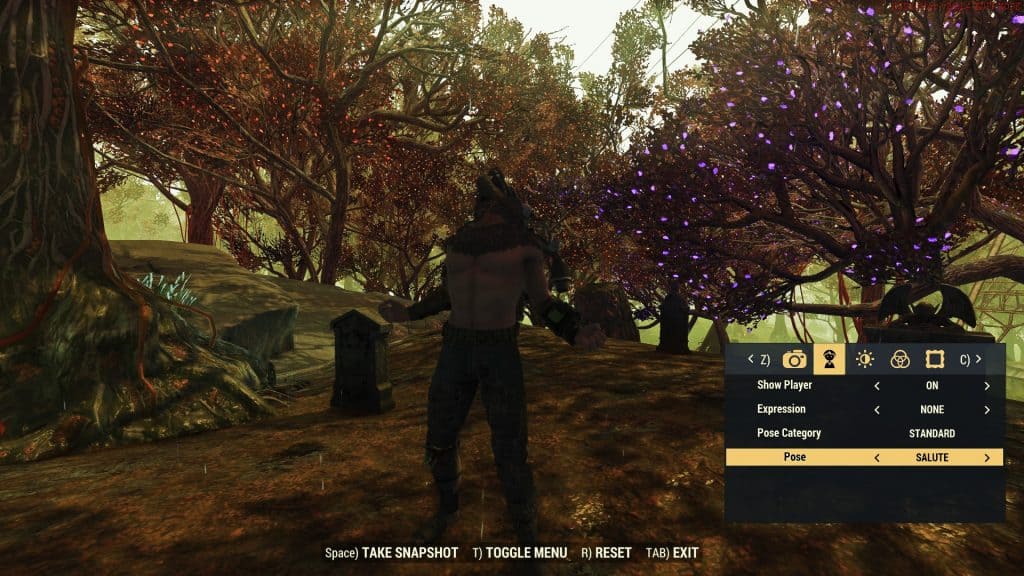 Feral Salute Photopose - Fallout 76 Mod download